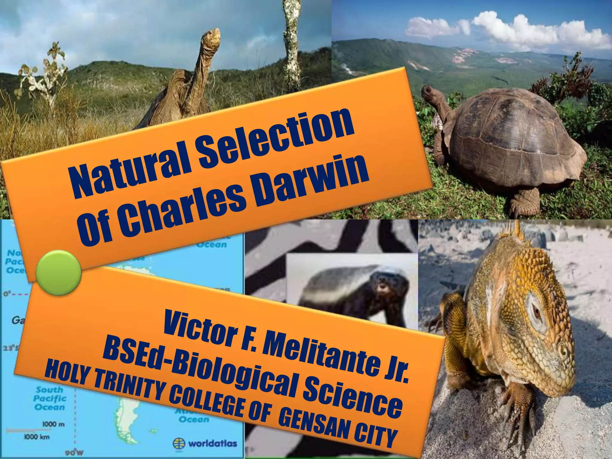 Natural selection of Charles Darwin | PPTX