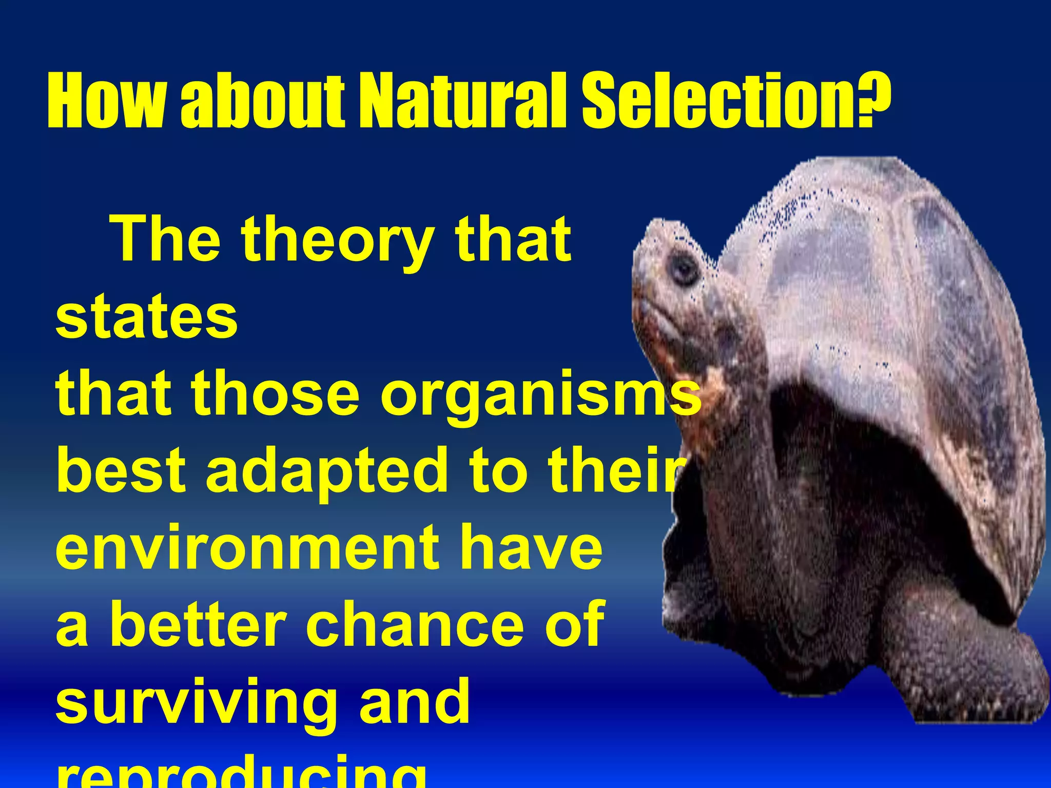 Natural selection of Charles Darwin | PPTX