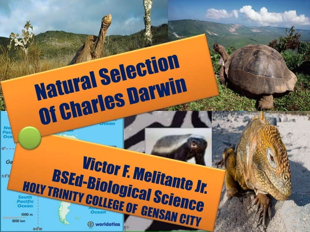 Natural selection of Charles Darwin | PPTX | Genetics | Science
