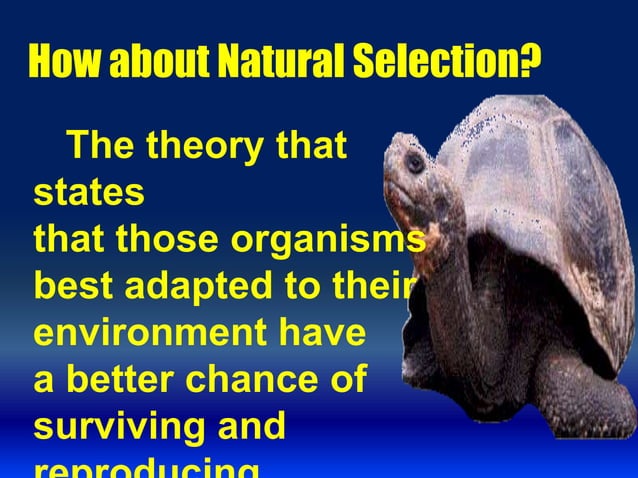 Natural selection of Charles Darwin | PPTX | Genetics | Science
