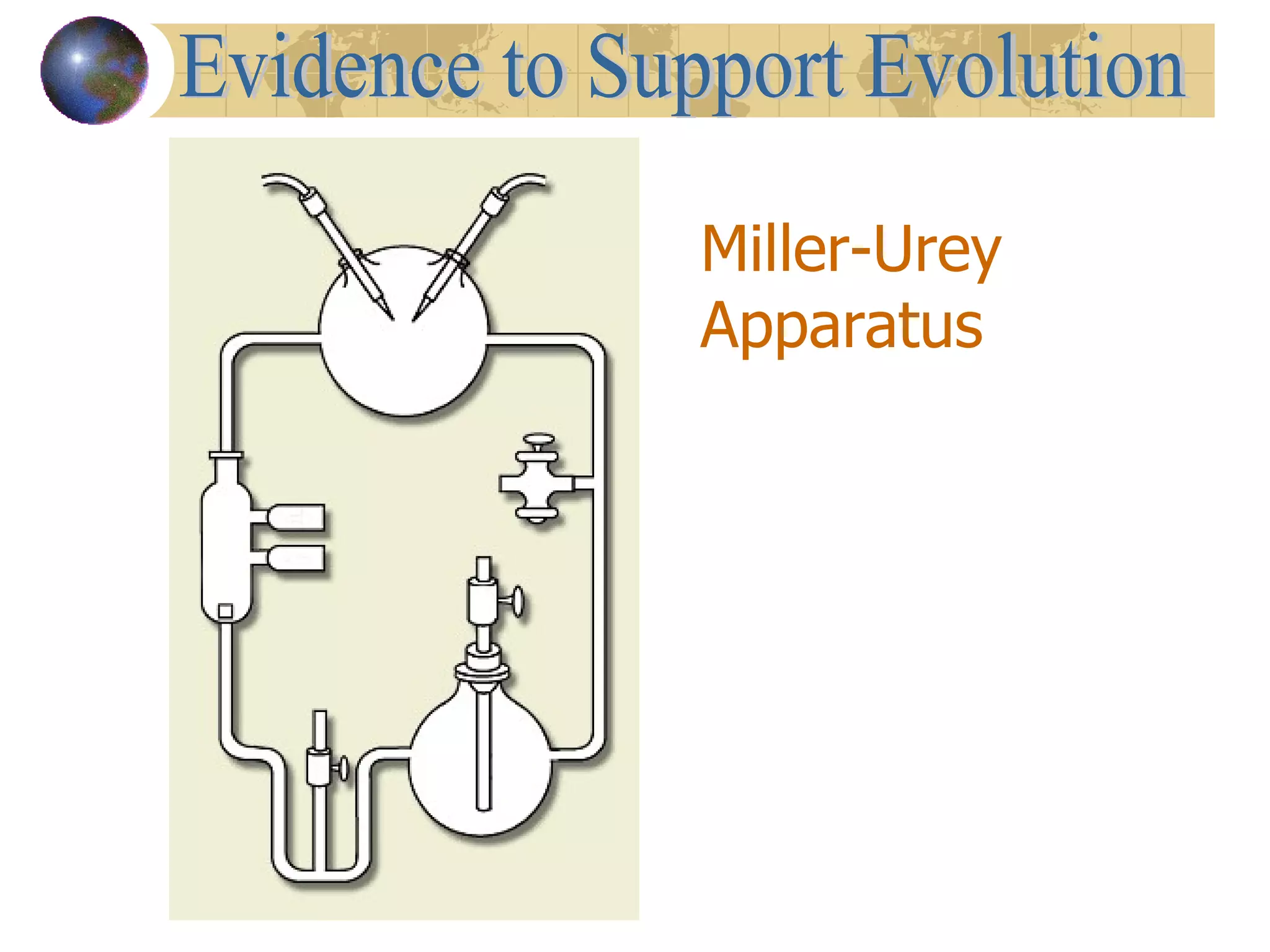 Evolution natural selection_and_speciation | PPT