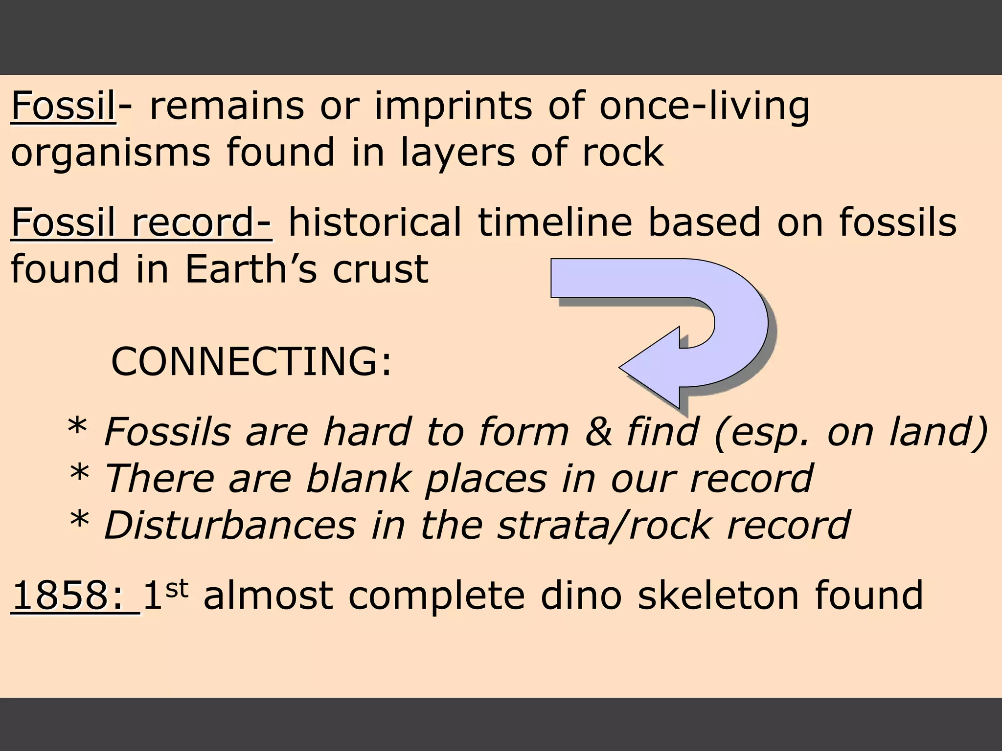 Phylogenetics: Evolution | PPTX