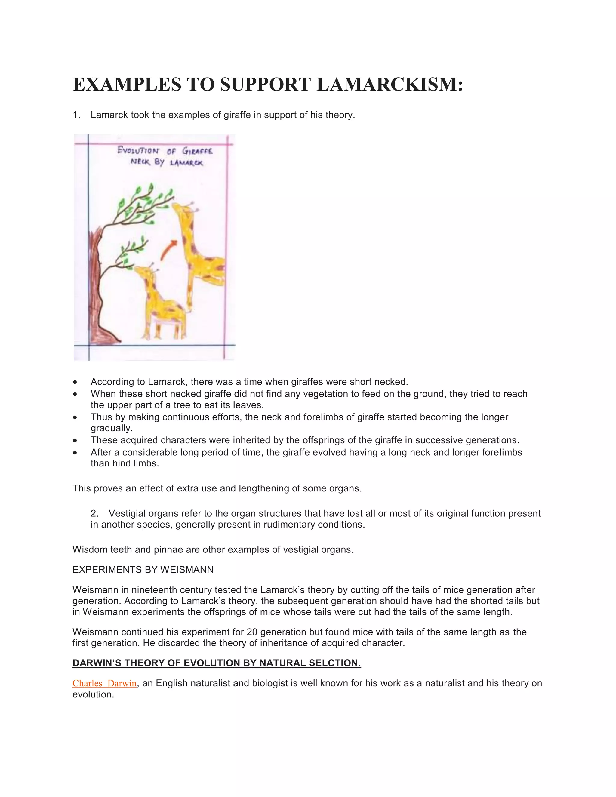 EVOLUTION NOTES.docx