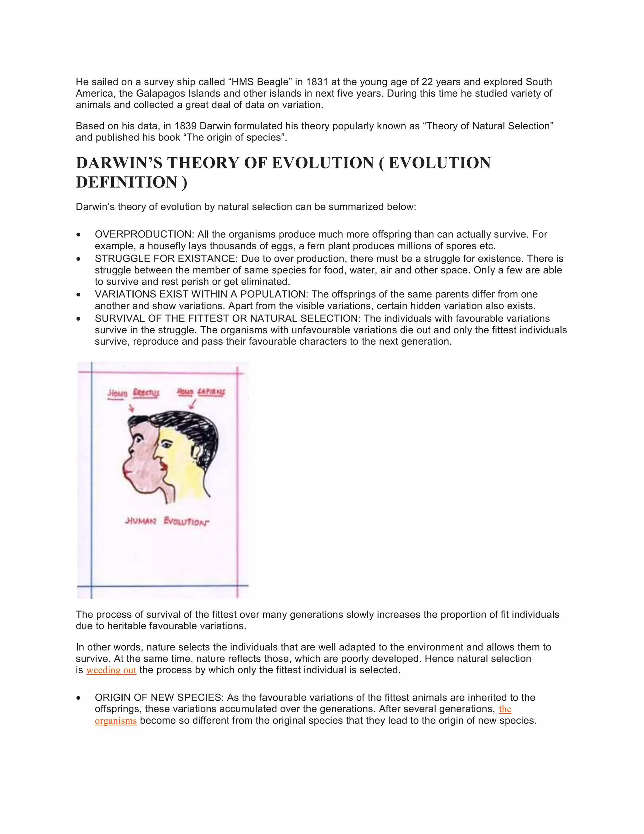 EVOLUTION NOTES.docx