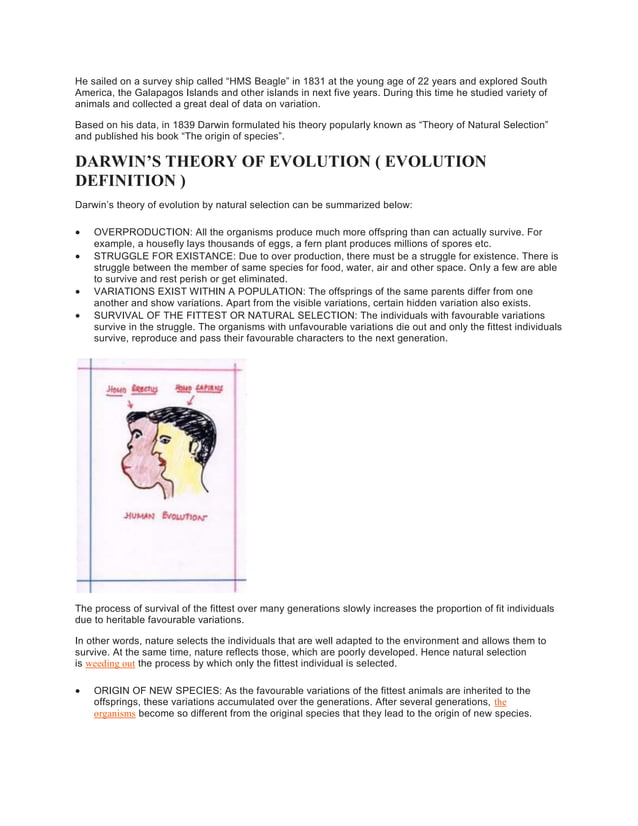 EVOLUTION NOTES.docx