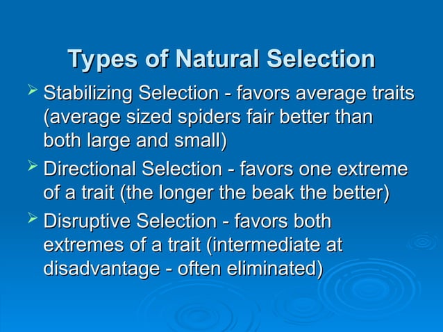 Evolution Notes Darwin Natural Selection.ppt
