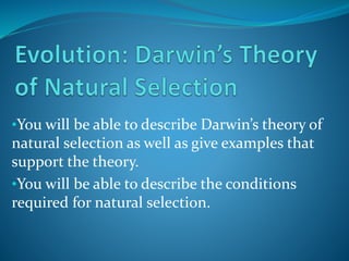 Natural Selection | PPTX
