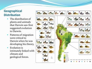 Natural Selection | PPTX