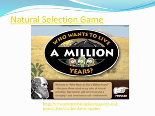 Natural Selection | PPTX