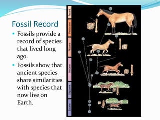 Natural Selection | PPTX