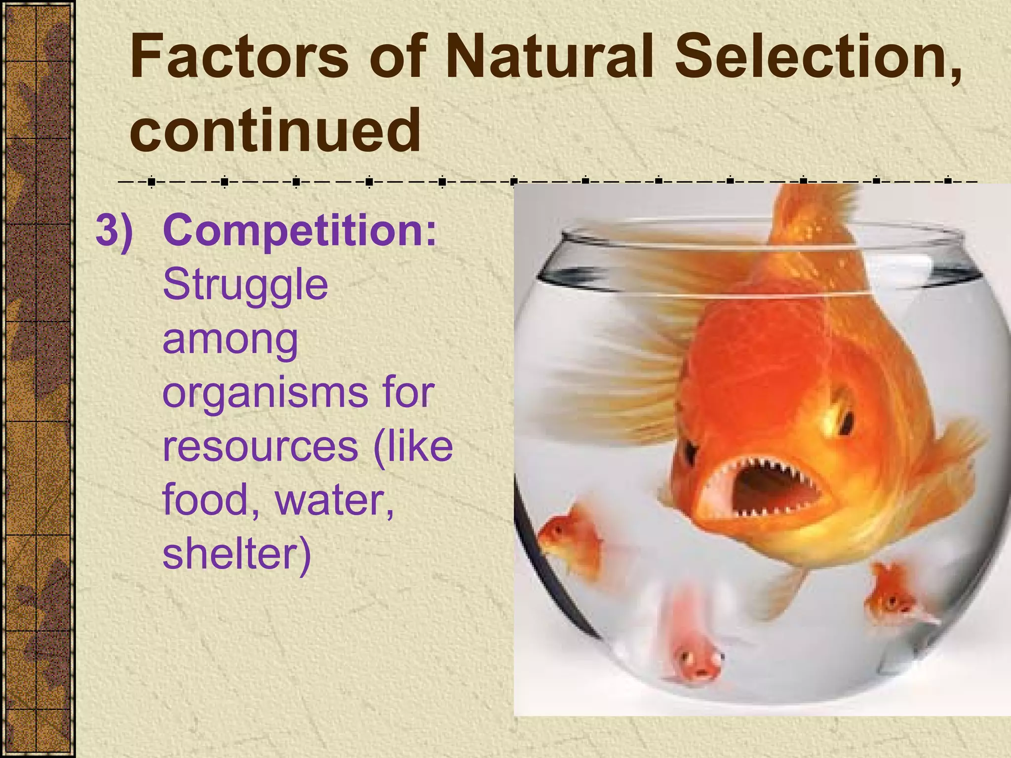 Evolution Notes Part 1 Ppt 5279
