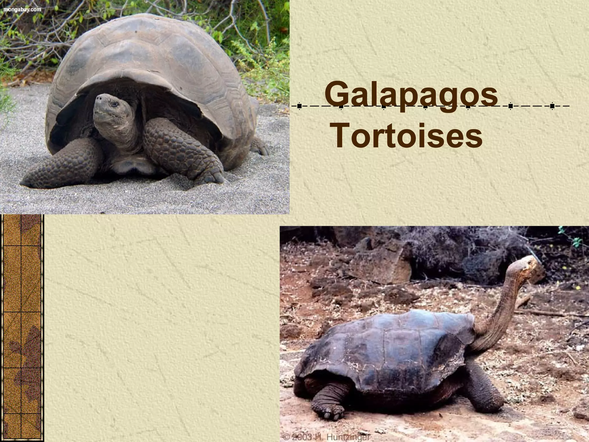 Evolution Notes Part 1 Ppt 1700