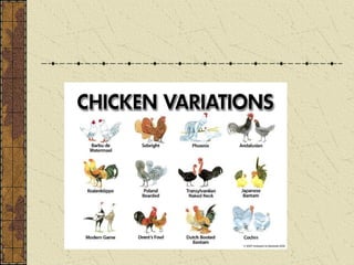 Evolution Notes Part 1 Ppt Biological Sciences Science