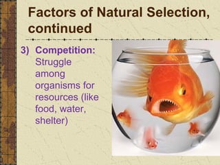 Evolution notes part 1 | PPT | Biological Sciences | Science