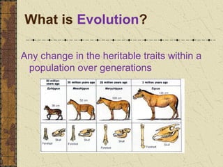 Evolution notes part 1 | PPT | Biological Sciences | Science