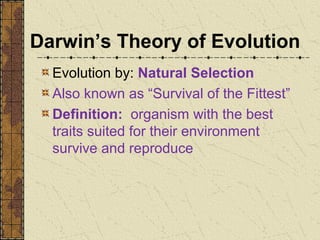 Evolution notes part 1 | PPT | Biological Sciences | Science