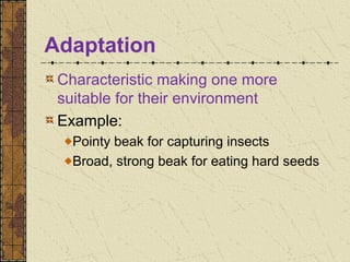 Evolution notes part 1 | PPT | Biological Sciences | Science