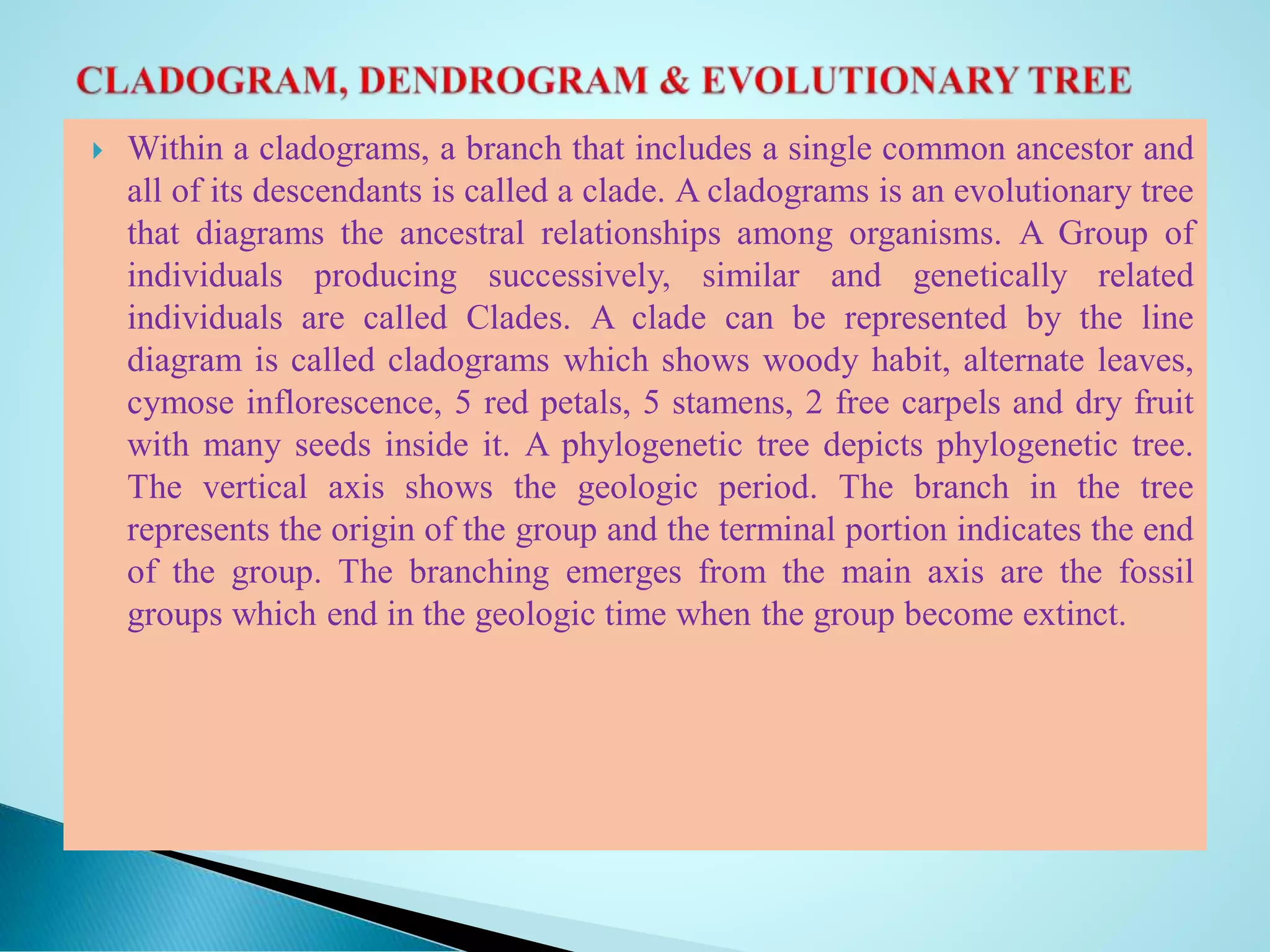 ORIGIN& EVOLUTION OF ANGIOSPERMS.pdf