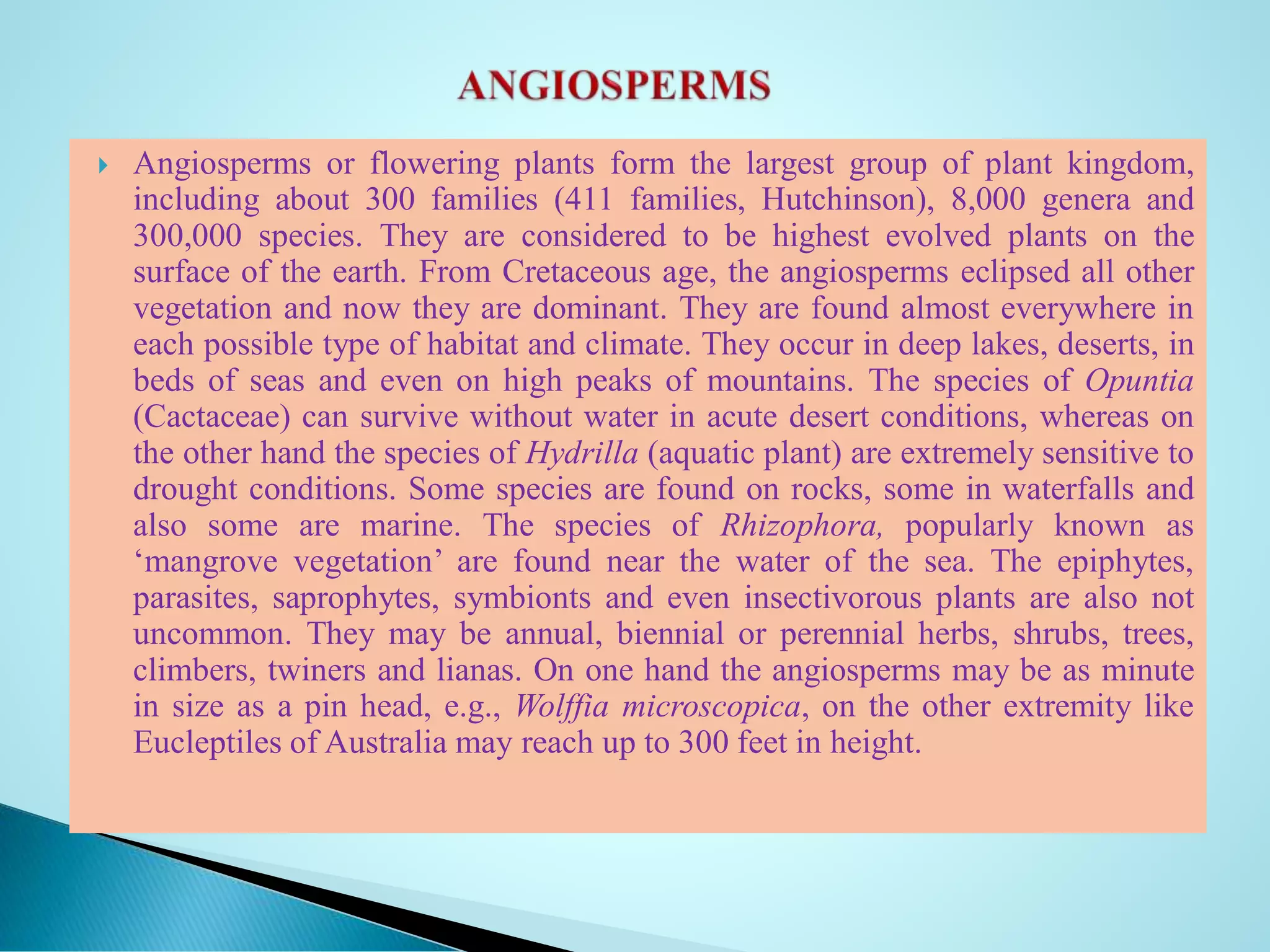 ORIGIN& EVOLUTION OF ANGIOSPERMS.pdf