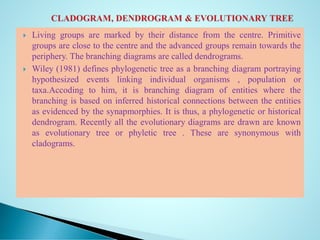 ORIGIN& EVOLUTION OF ANGIOSPERMS.pdf