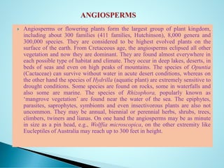 ORIGIN& EVOLUTION OF ANGIOSPERMS.pdf