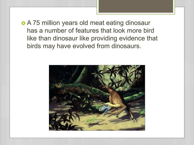 Evolution of aves in paleontology | PPTX