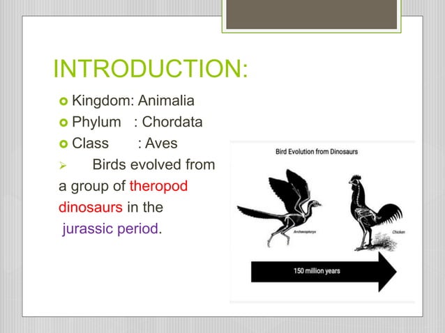 Evolution of aves in paleontology | PPTX
