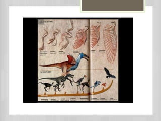 Evolution of aves in paleontology | PPTX