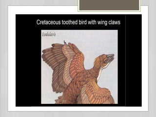 Evolution of aves in paleontology | PPTX
