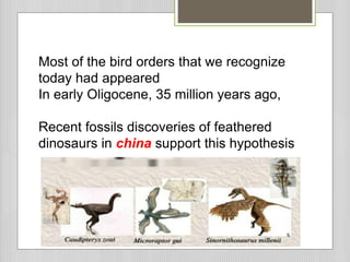 Evolution of aves in paleontology | PPTX