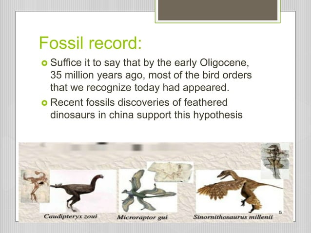 Evolution of aves in paleontology | PPTX