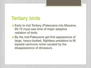 Evolution of aves in paleontology | PPT