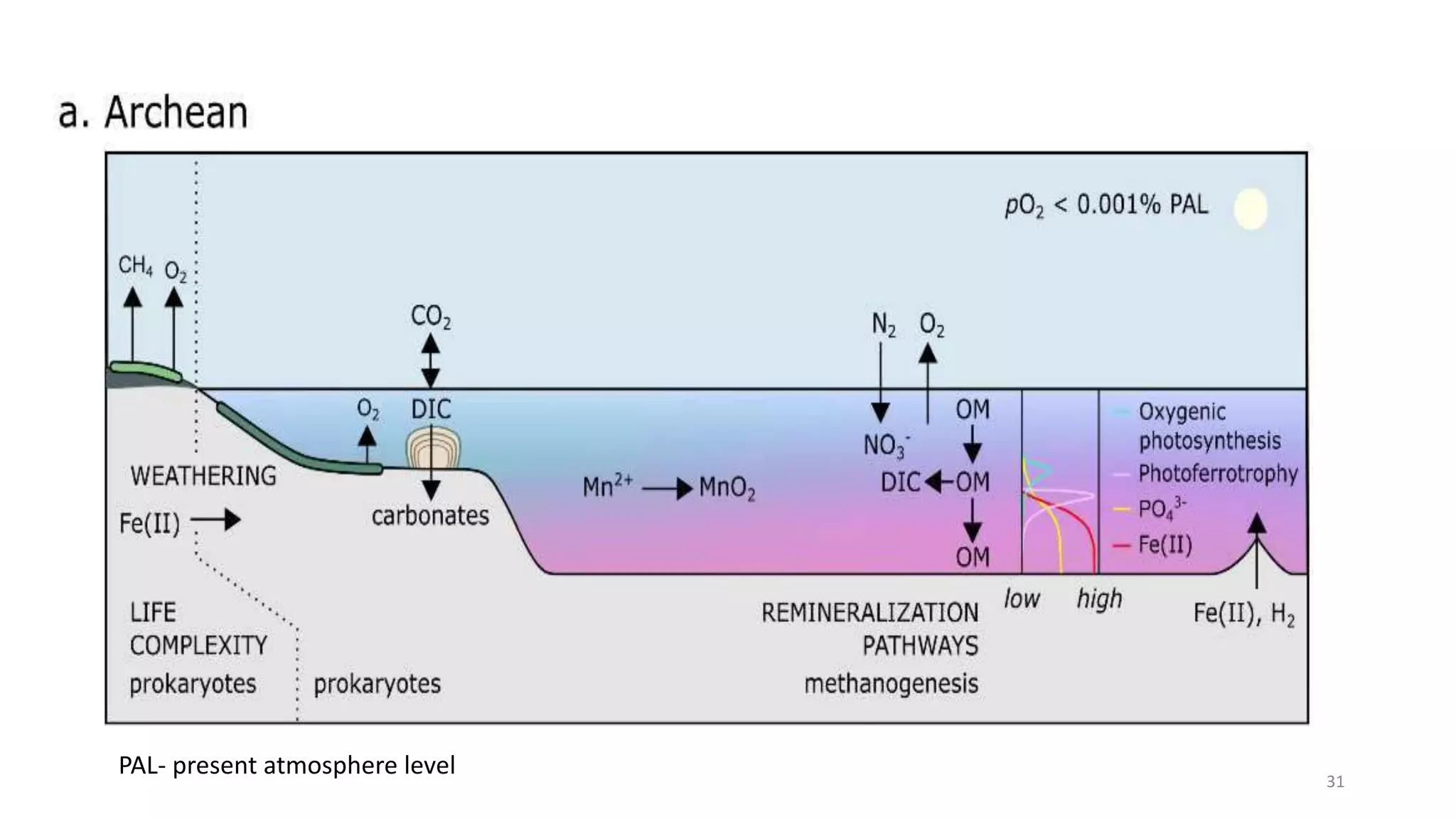 EVOLUTION OF BIOSPHERE -pptx | PPTX
