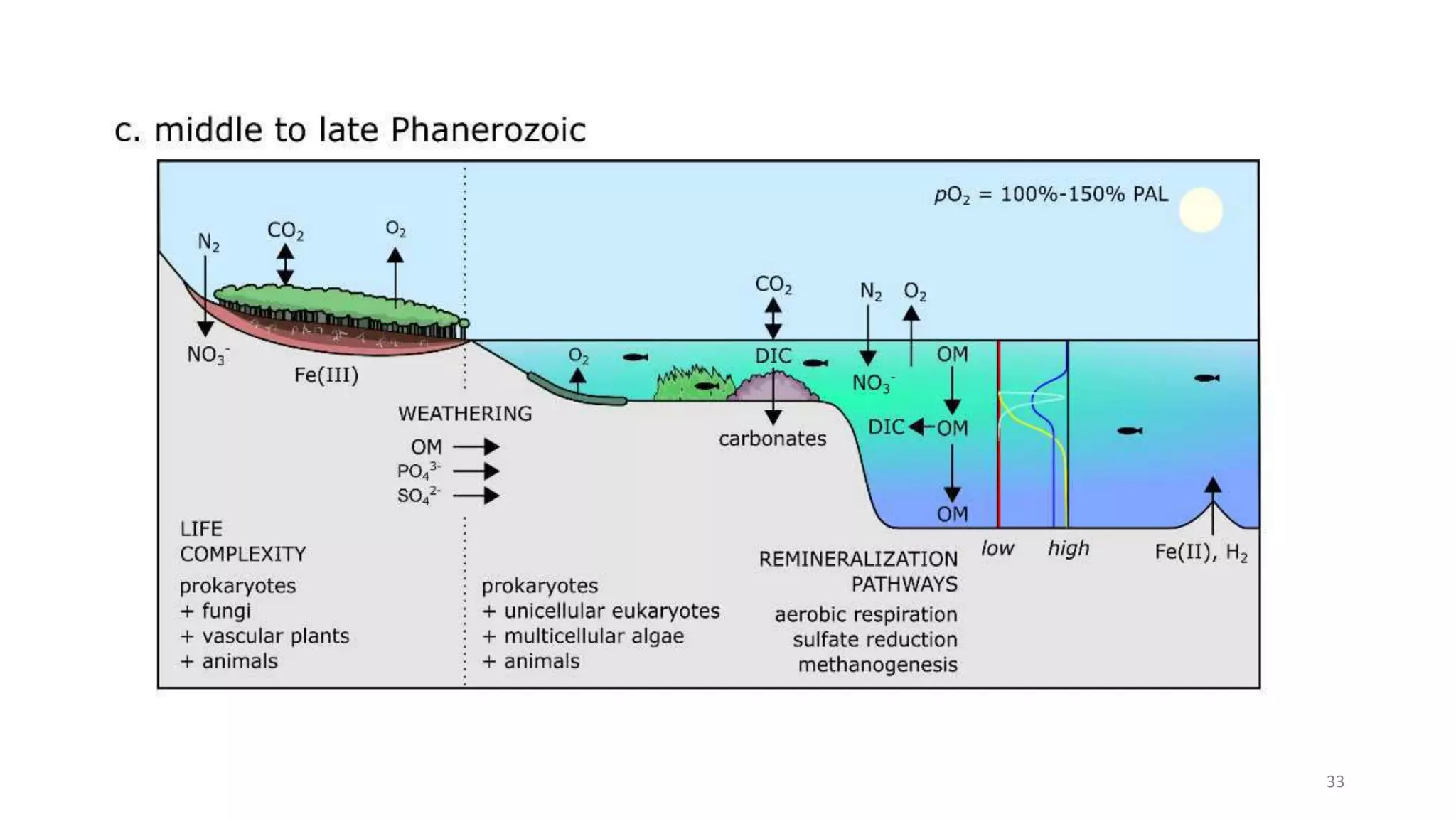 EVOLUTION OF BIOSPHERE -pptx | PPTX