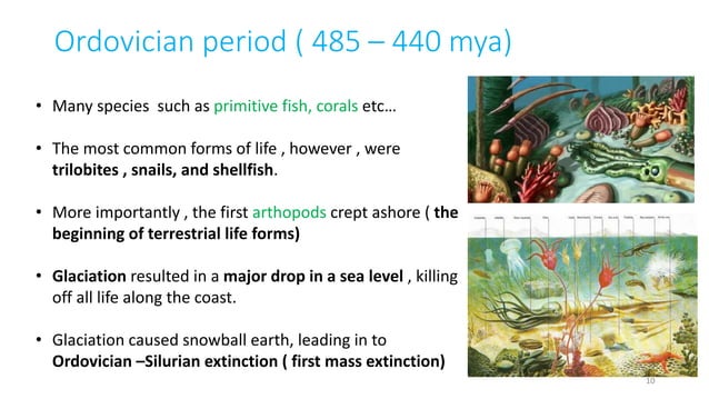 EVOLUTION OF BIOSPHERE -pptx | PPTX