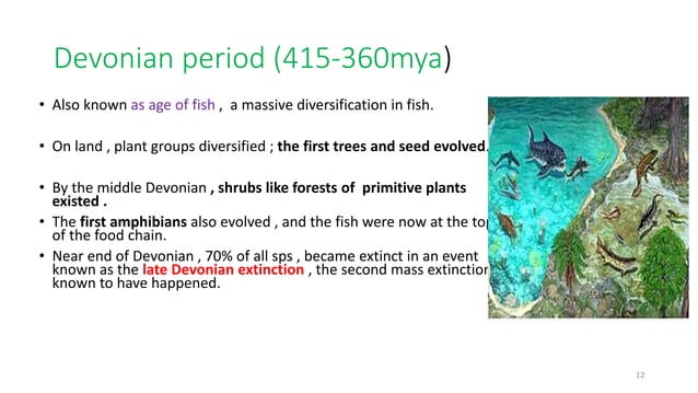 EVOLUTION OF BIOSPHERE -pptx | PPTX