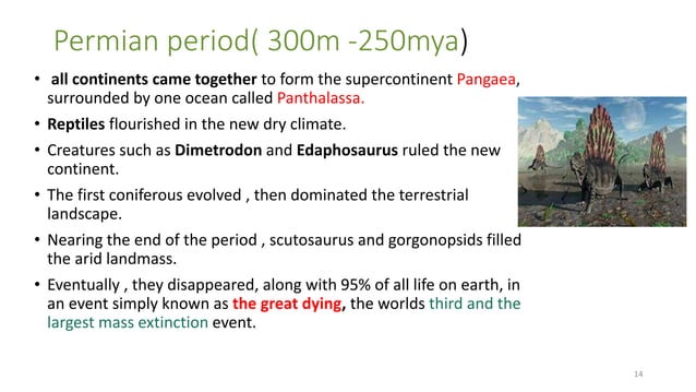 EVOLUTION OF BIOSPHERE -pptx | PPTX