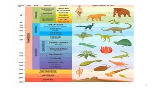 EVOLUTION OF BIOSPHERE -pptx | PPTX