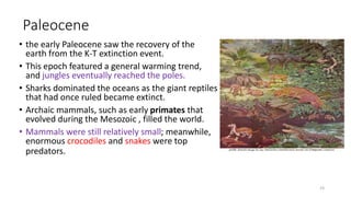 EVOLUTION OF BIOSPHERE -pptx | PPTX