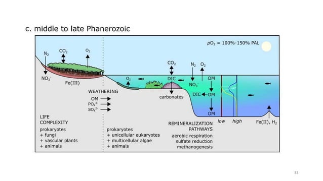 EVOLUTION OF BIOSPHERE -pptx | PPTX