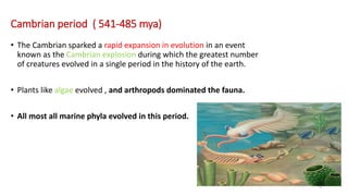 EVOLUTION OF BIOSPHERE -pptx | PPTX