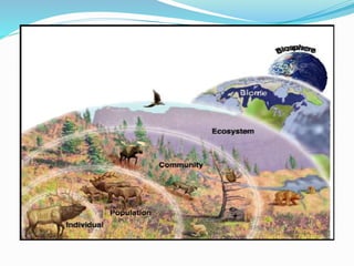 Evolution of biosphere and cryosphere | PPTX