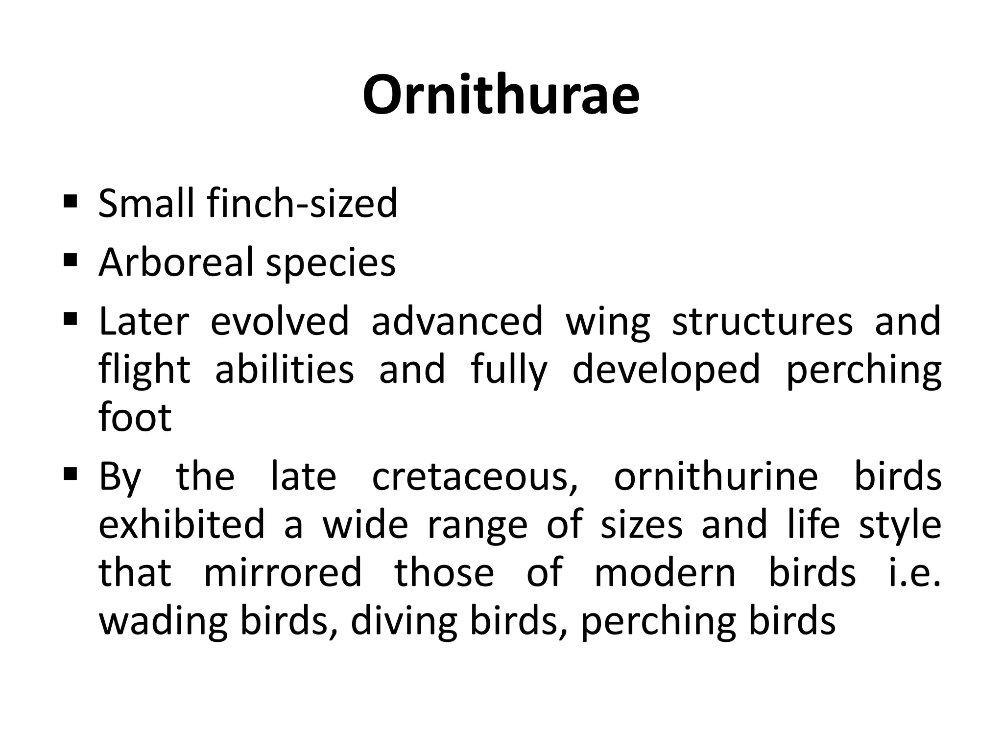Evolution of Birds.pptx