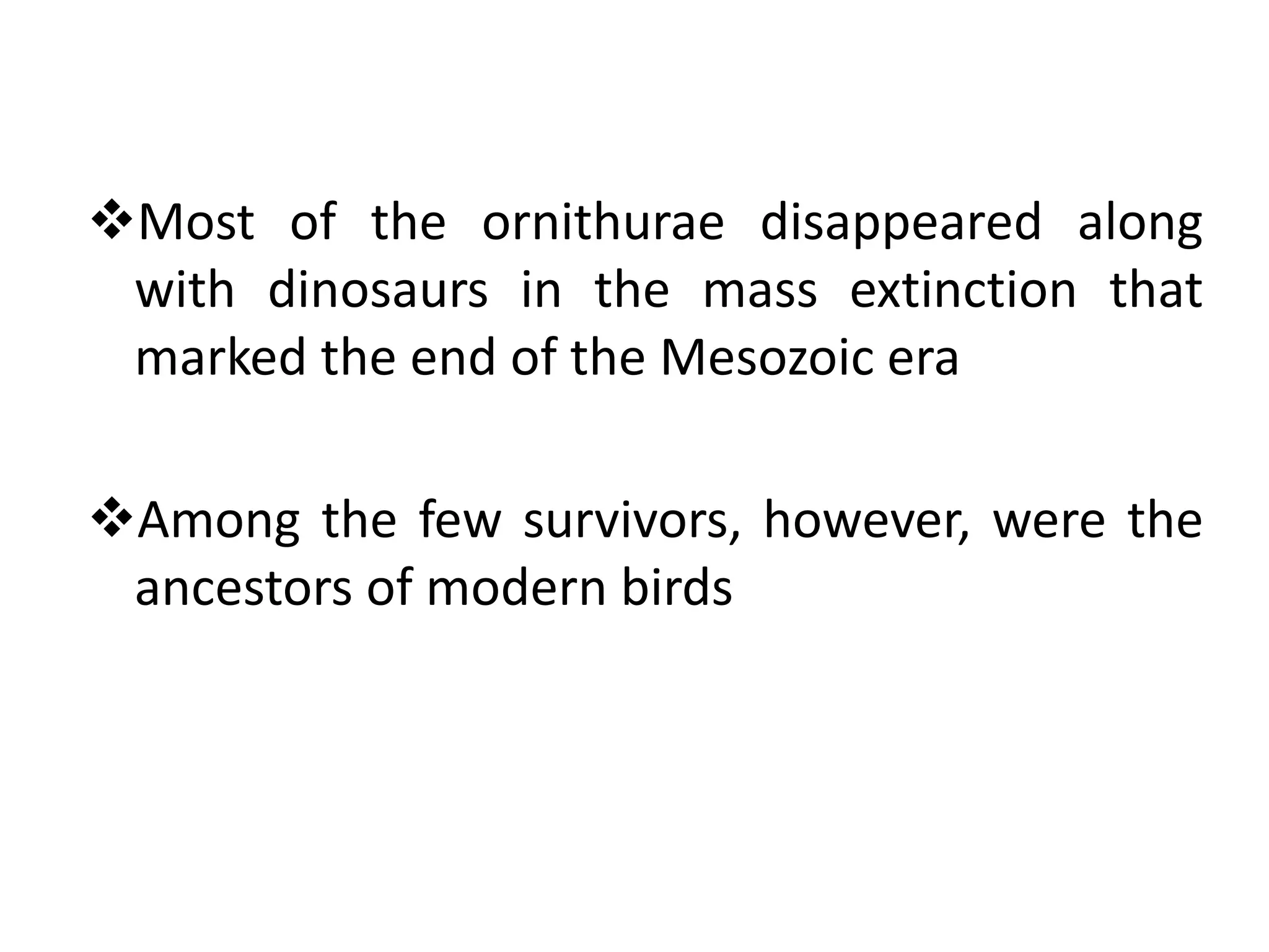 Evolution of Birds.pptx