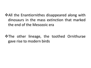 Evolution of Birds.pptx