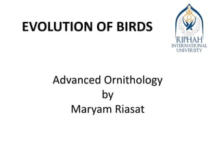Evolution of Birds.pptx