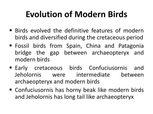 Evolution of Birds.pptx