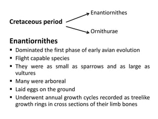 Evolution of Birds.pptx