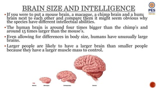EVOLUTION OF BRAIN AND BEHAVIOUR final.pptx