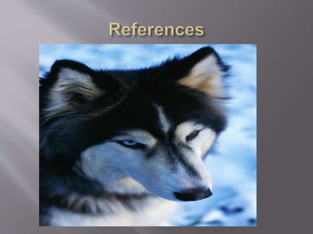 Evolution of canis lupus familiaris | PPTX | Dogs | Pets